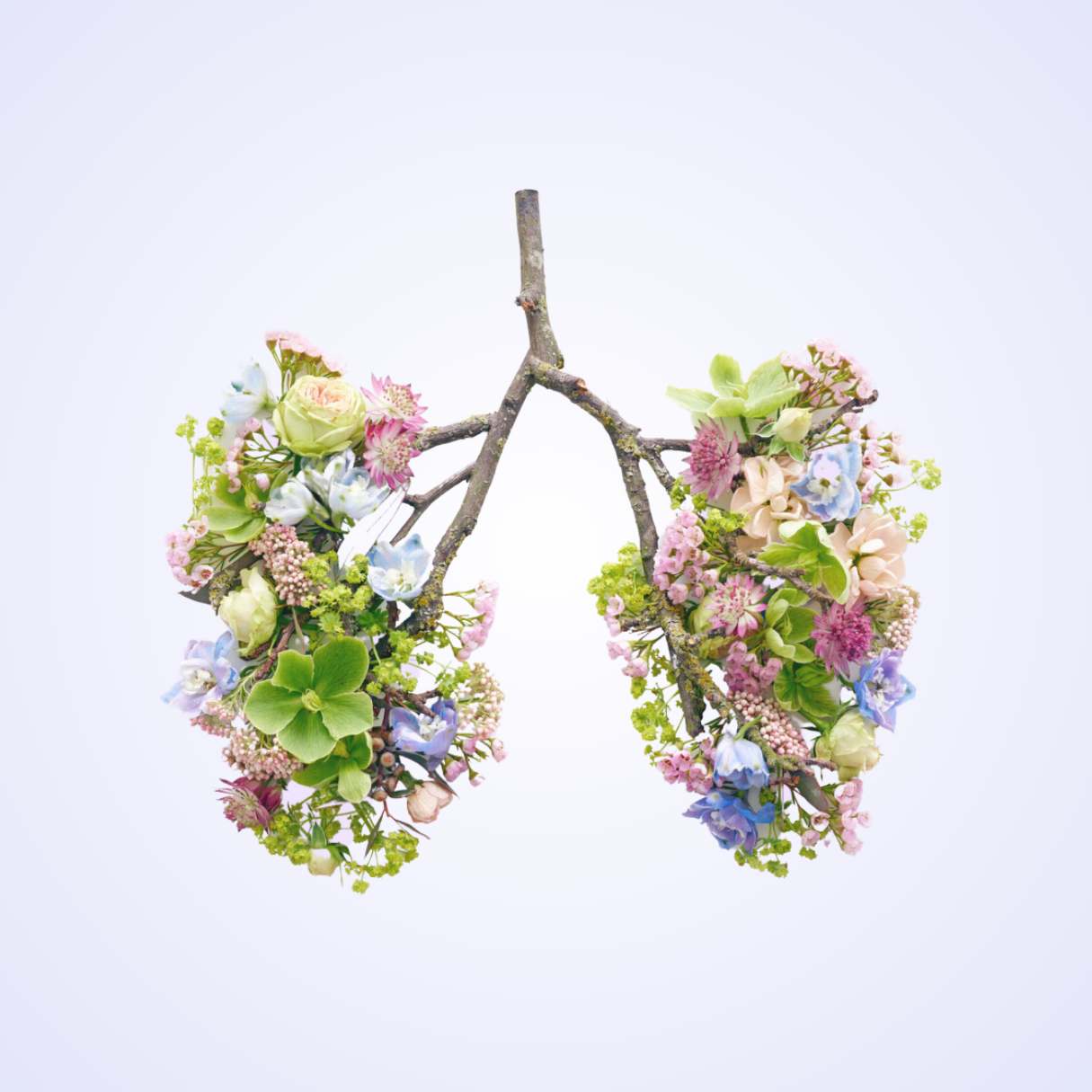 Breathwork Basics | 30-Min Workplace Wellness Class | Twello