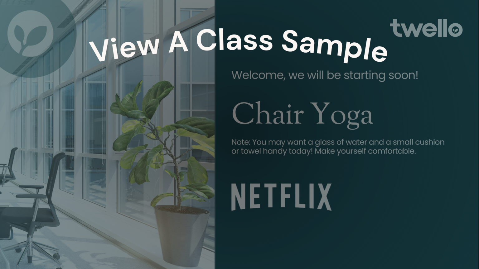 Chair Yoga | 30-Min Workplace Wellness Class | Twello